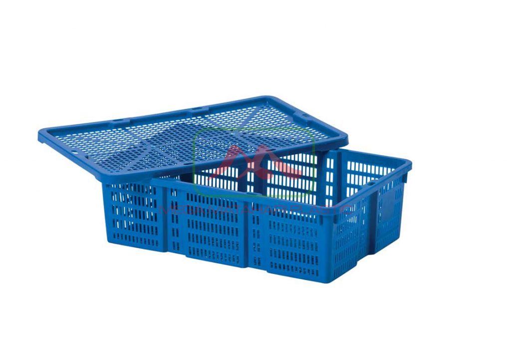 Container Lubang 4300 Rabbit – Wholesaler for Plastic Houseware ...